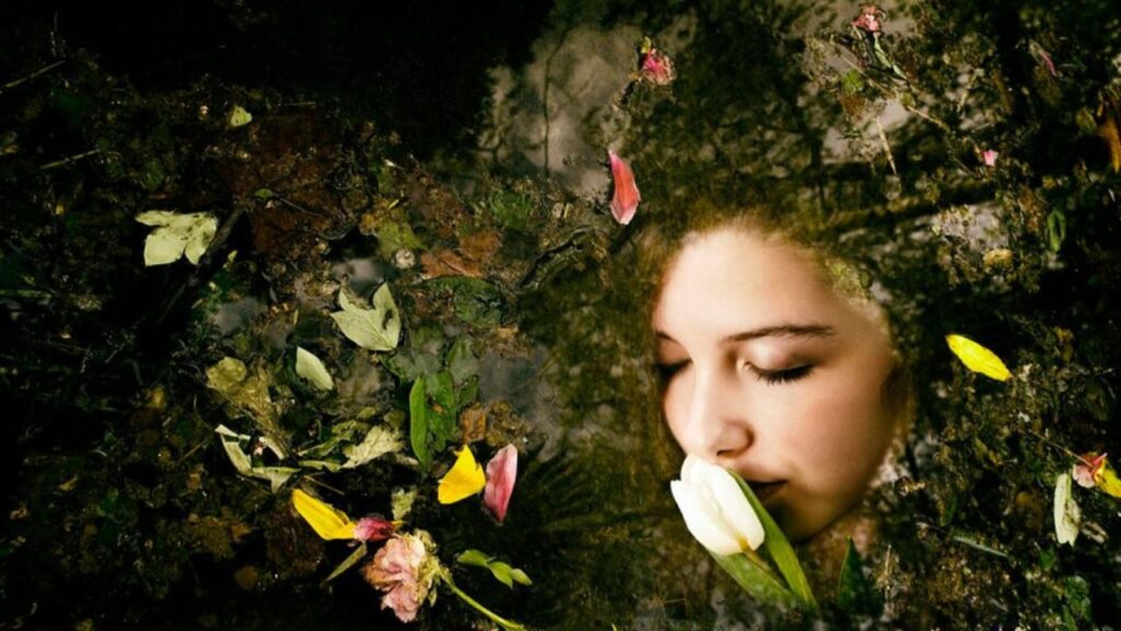 lillienu: A Deep Dive into Its Beauty and Significance