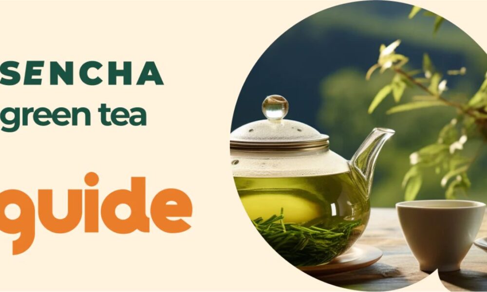 Embrace the Rich Tradition of Sencha and Elevate Your Tea...