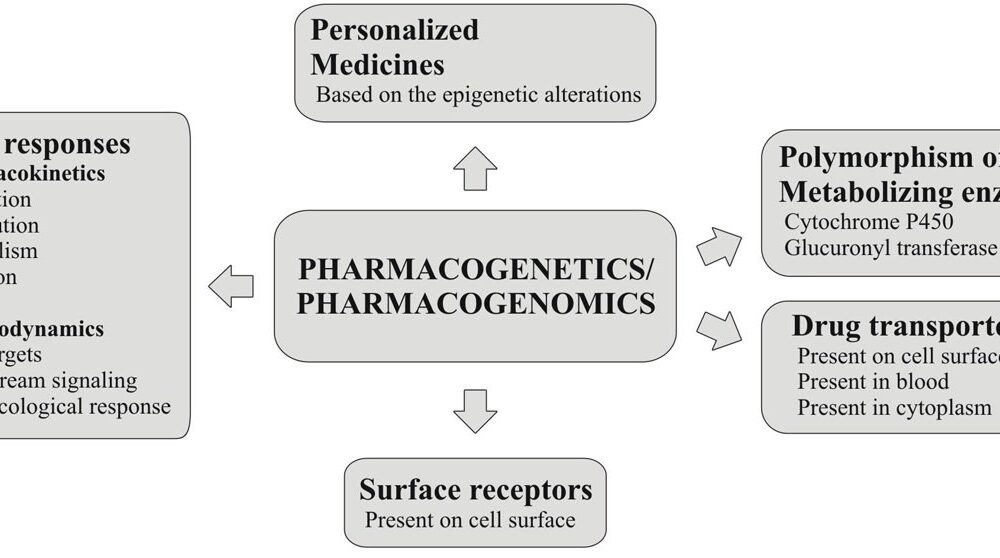 Personalized Medicine: The Role of Pharmacokinetics
