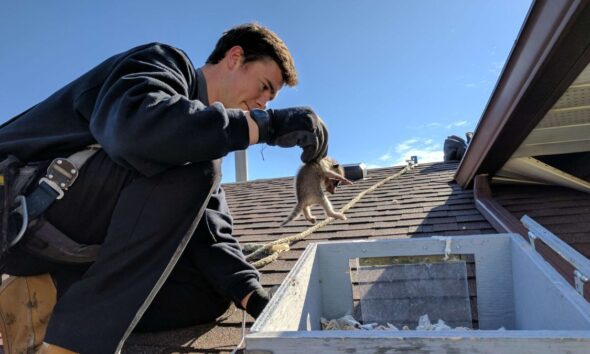 Dom6 Mod Inspector: Guide for Exploring Dominions 6 Mods