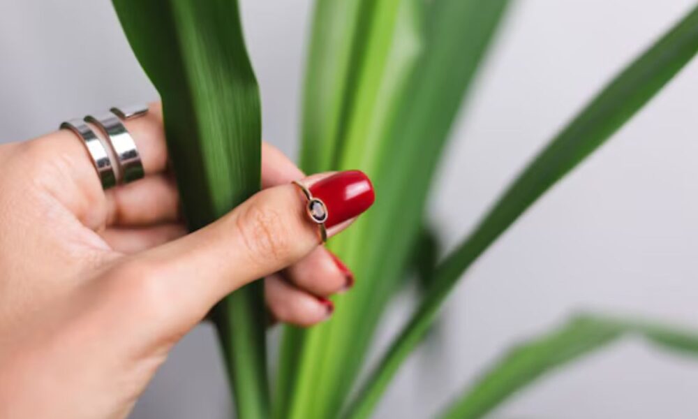 Archivebate: A Complete Guide